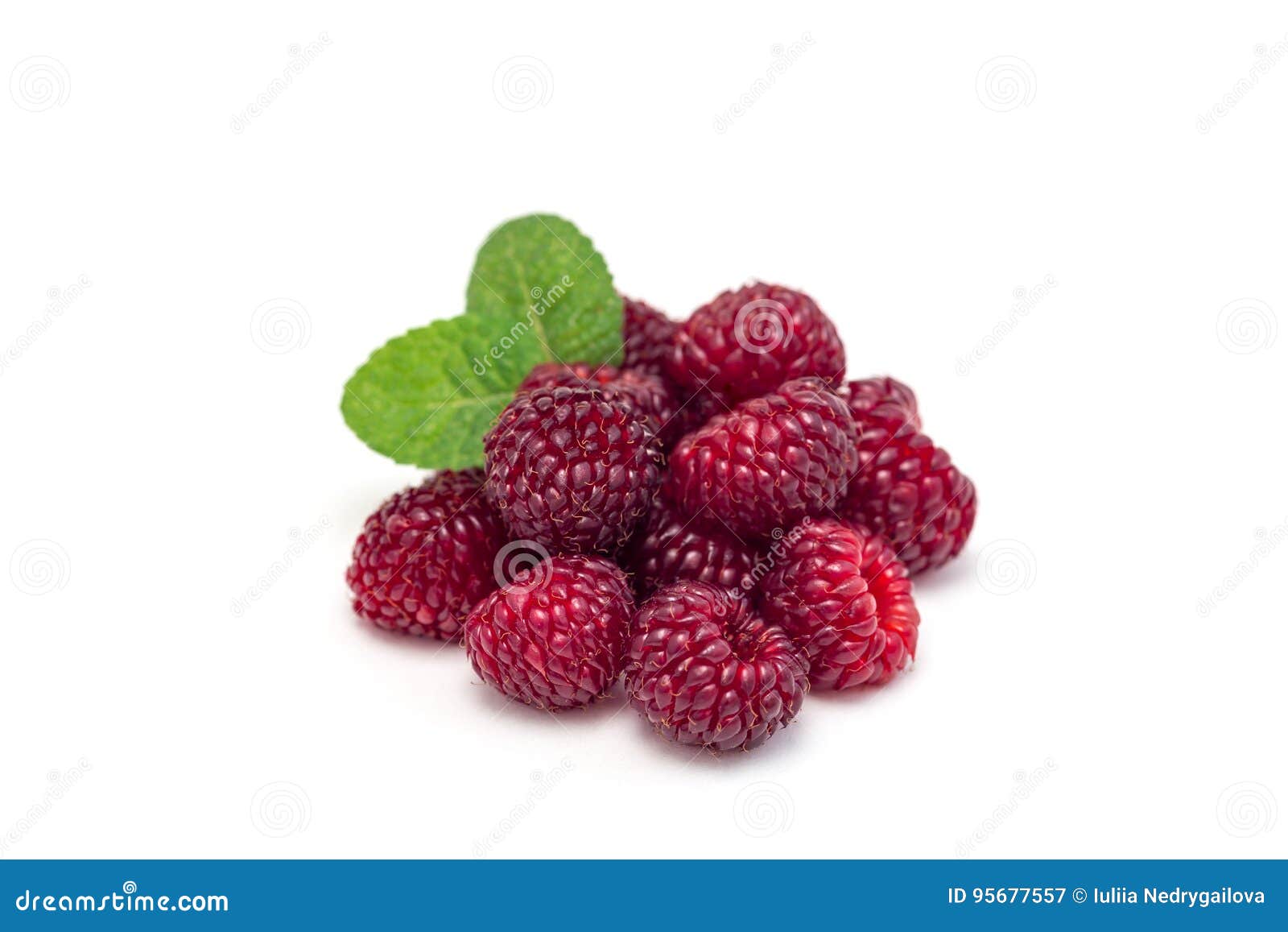 Ripe Wild Raspberry Isolated on a White Background Stock Image - Image ...