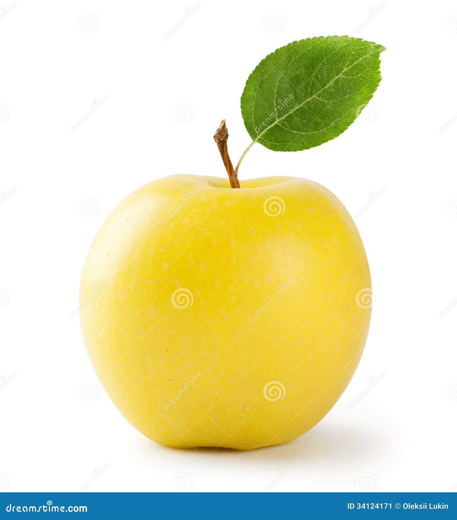Ripe Yellow Apple with Leaf Stock Image - Image of eating, food: 34124171