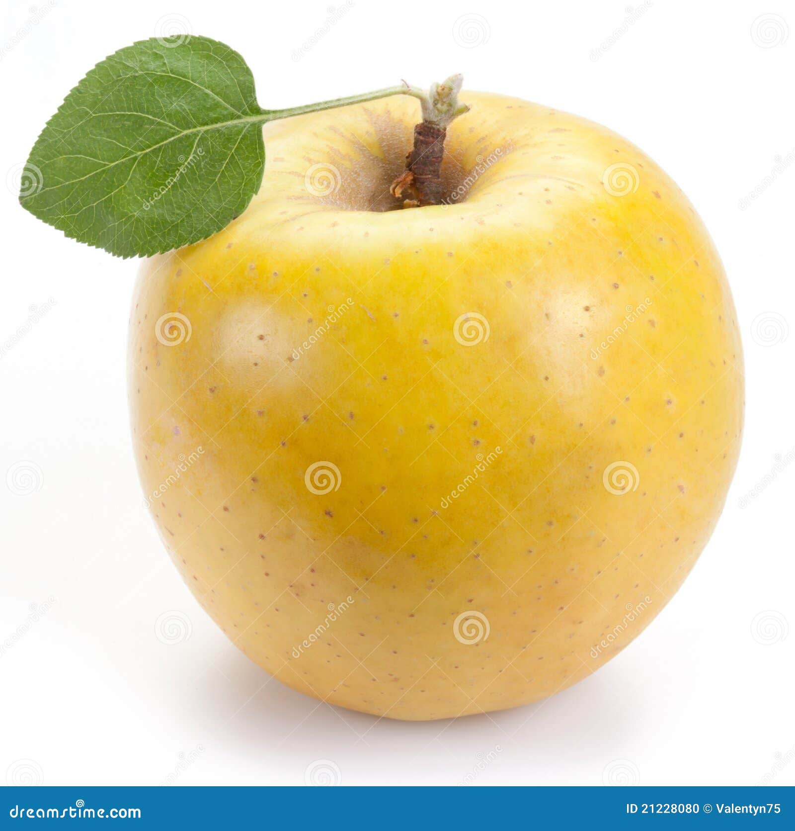 One Yellow Apple Cut In Half On A White Background With Apples Stock ...