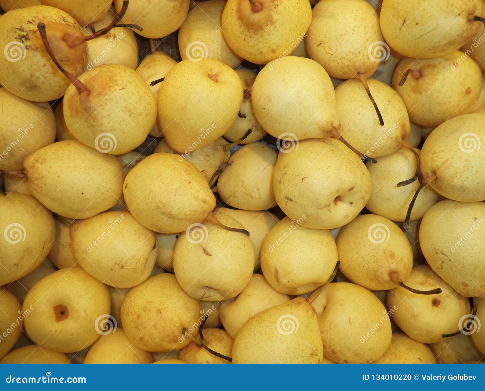 Ripe Yellow Chinese Pear New Crop Stock Photo - Image of crop ...