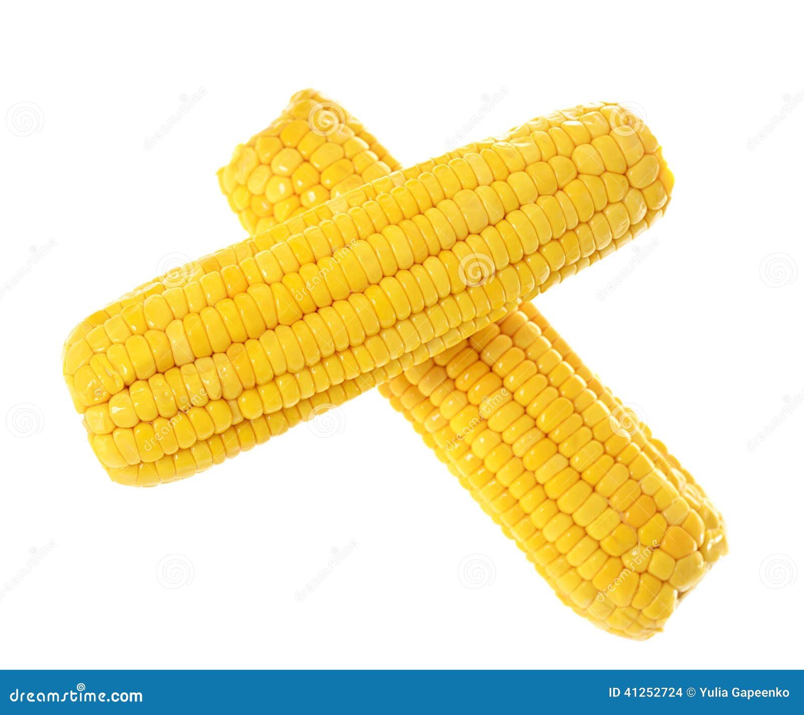 Ripe Yellow Corn Isolated on White Stock Photo - Image of healthy ...