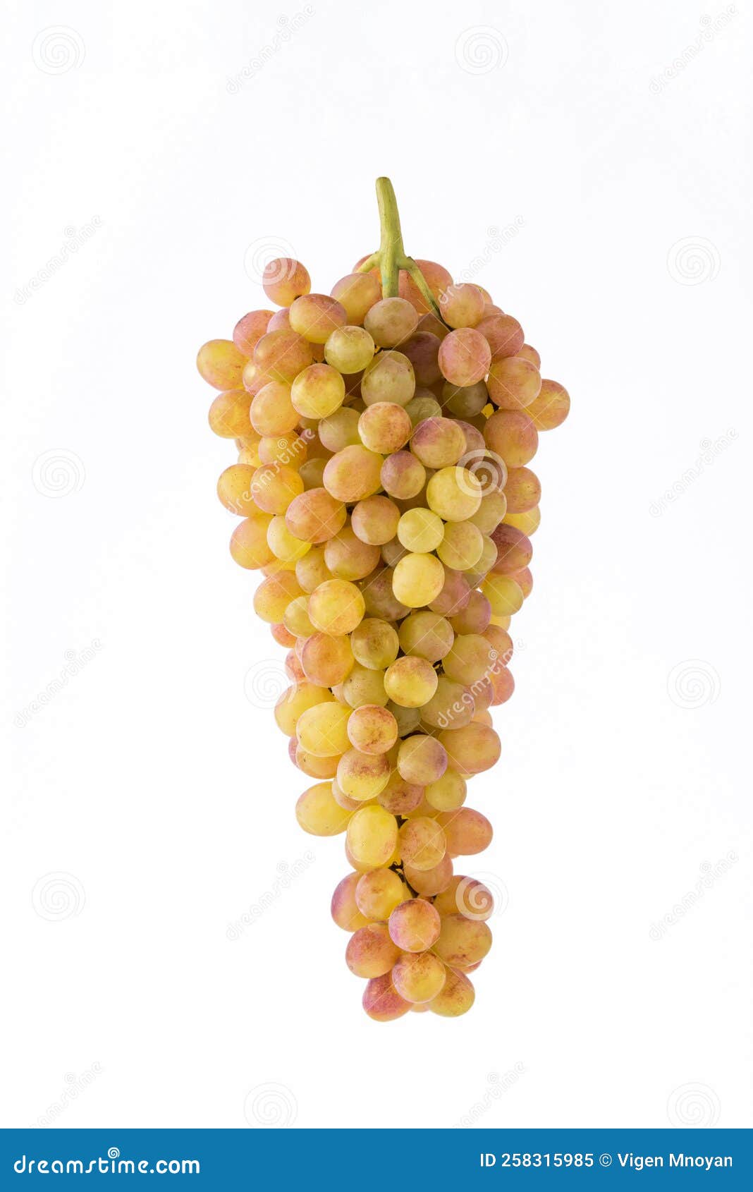 Ripe Yellow Grapes Branch Isolated on White Stock Image - Image of ...