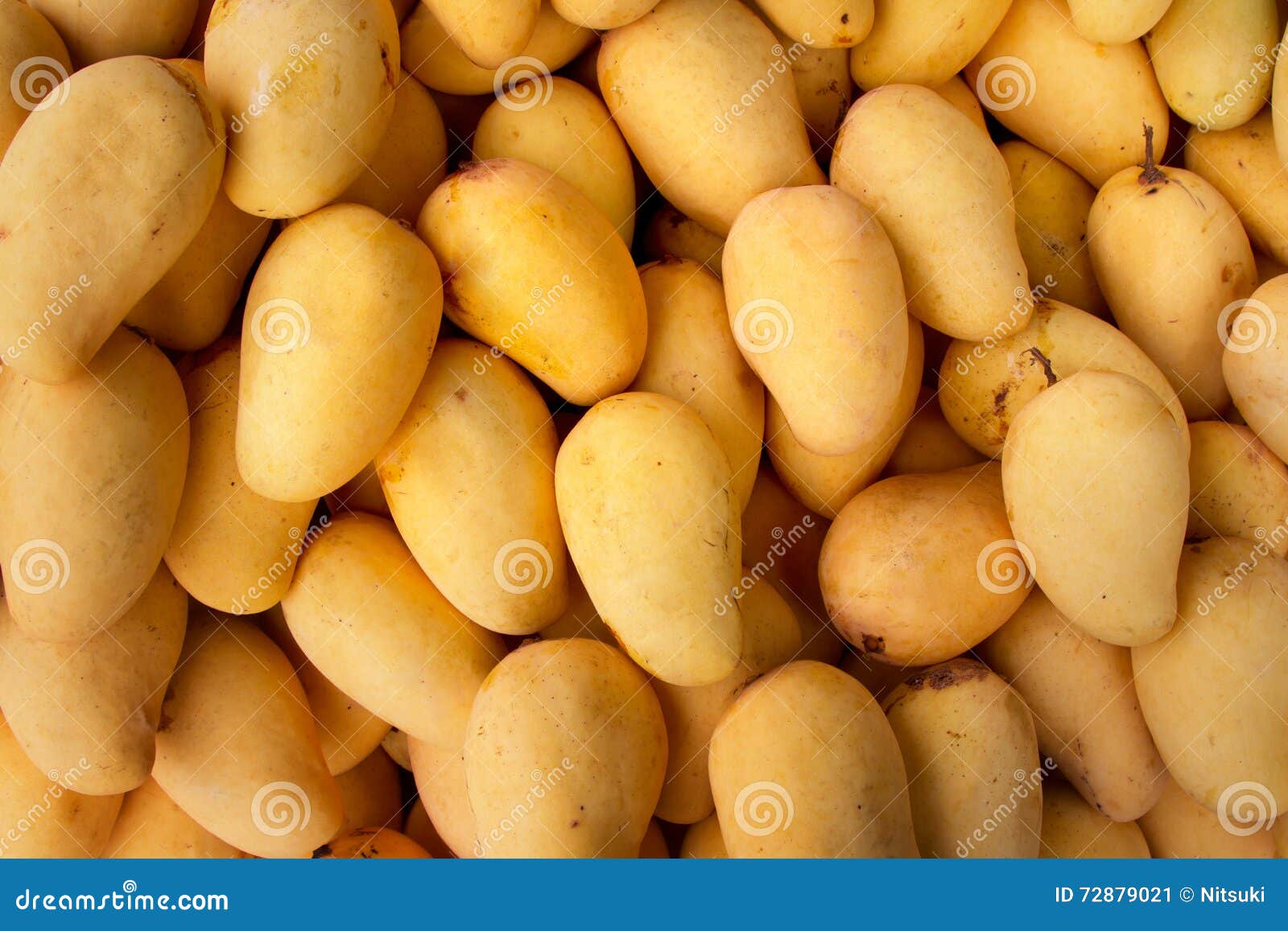 Ripe Yellow Mangoes Stack at Fruit Mark Stock Image - Image of ...