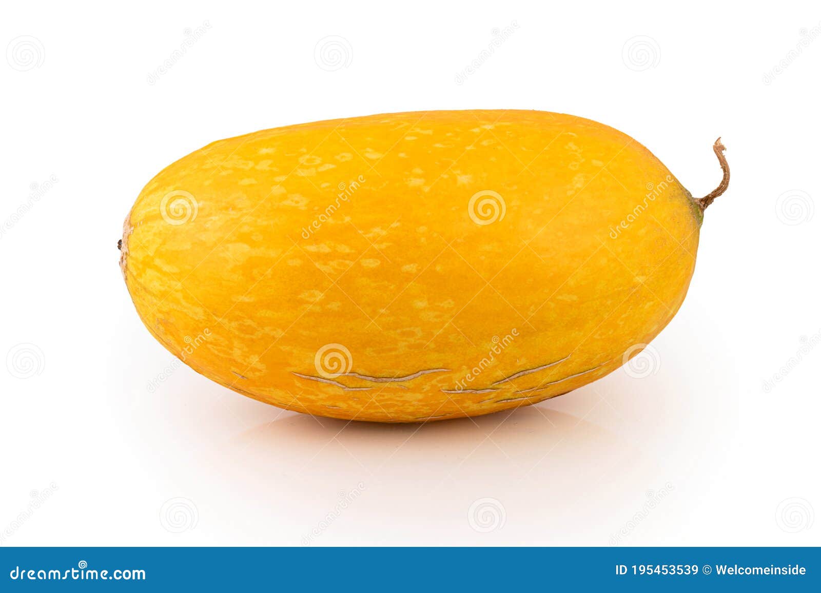 Yellow Muskmelon Pattern. Tileable Seamless Texture Royalty-Free Stock ...