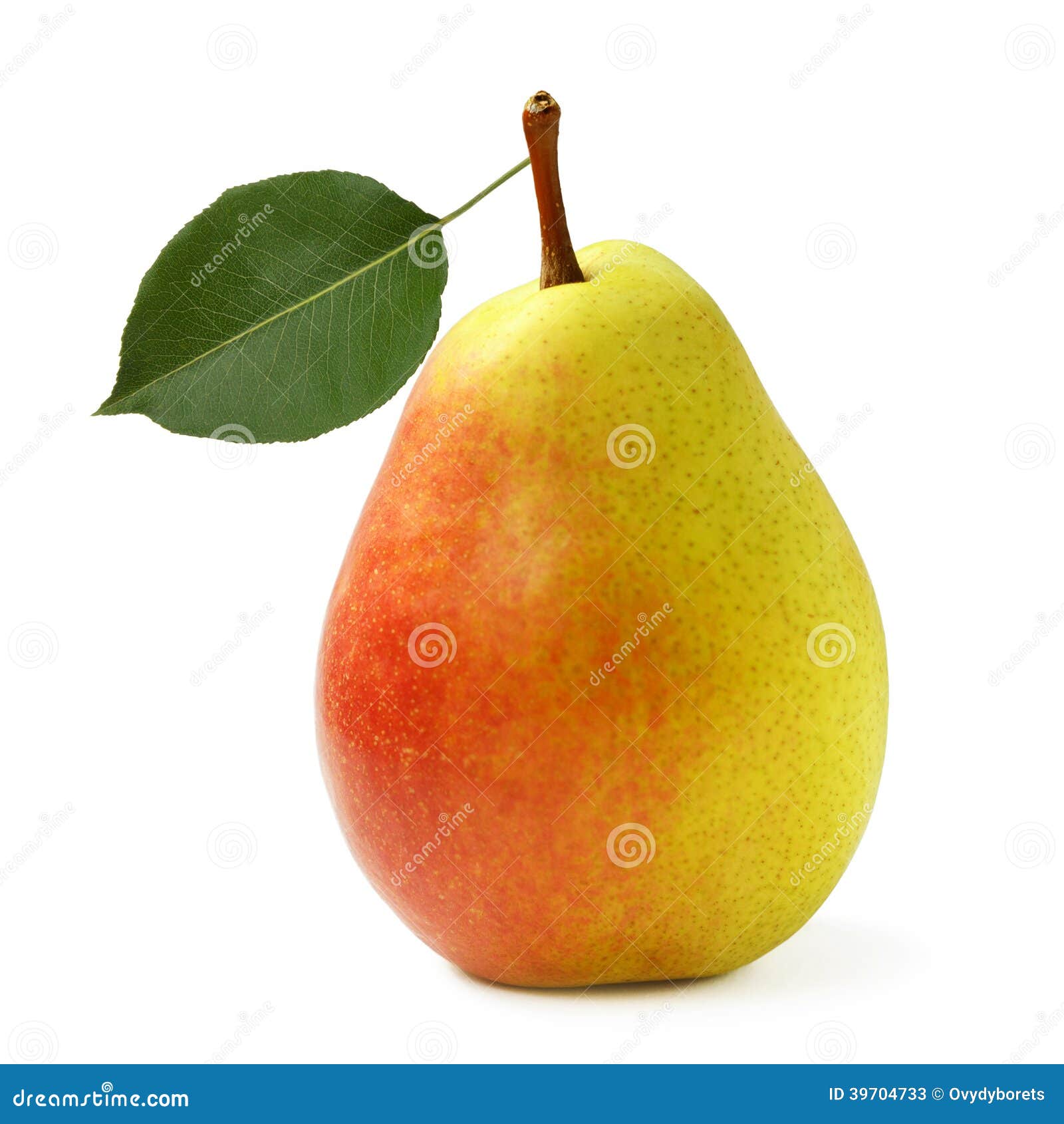Ripe Yellow Pear with Leaf Isolated on White Stock Image - Image of ...