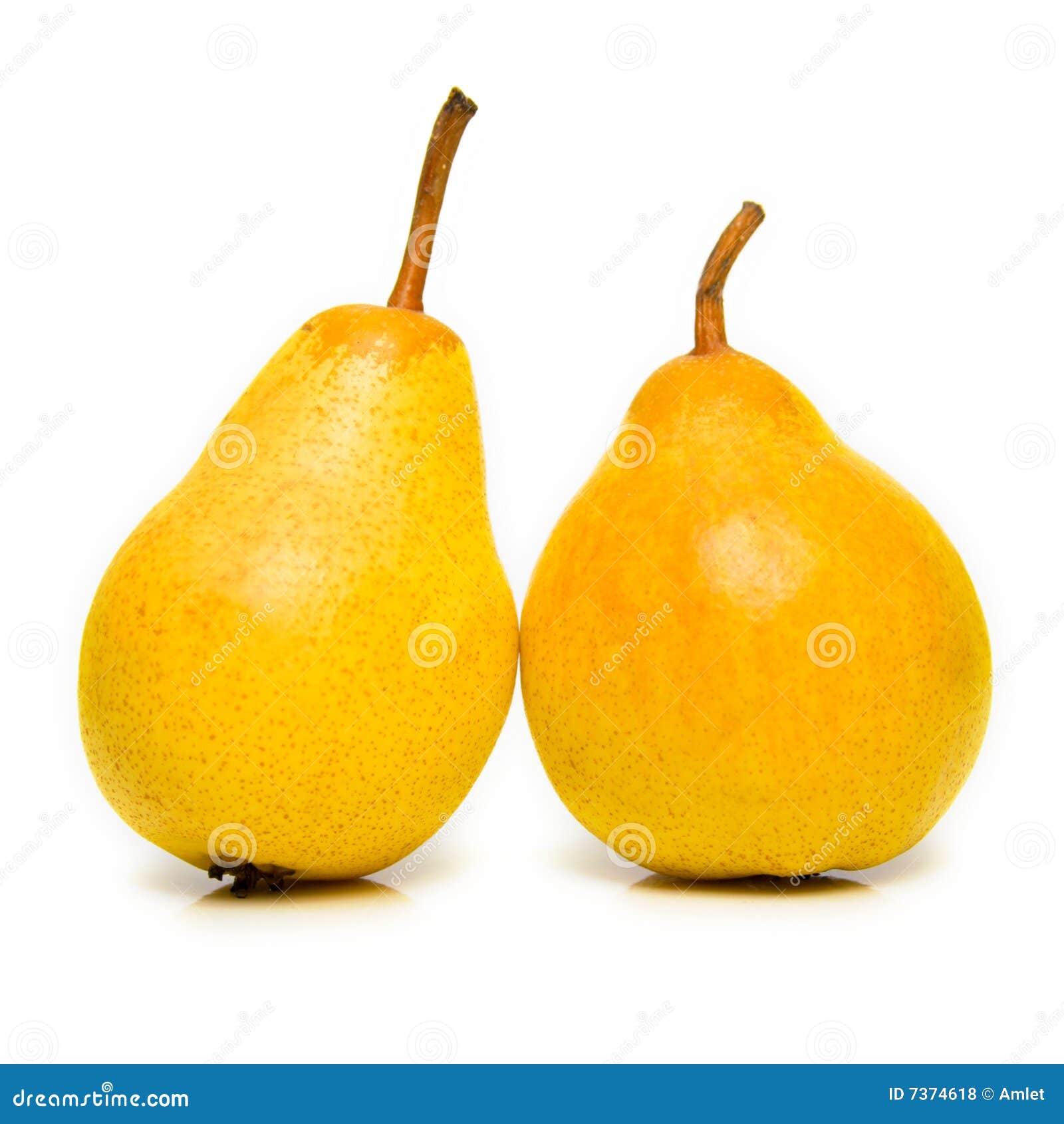 Ripe yellow pears stock photo. Image of shade, tasty, fragrant - 7374618