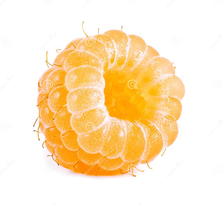 Ripe Yellow Raspberry Isolated on White Background. Stock Image - Image ...