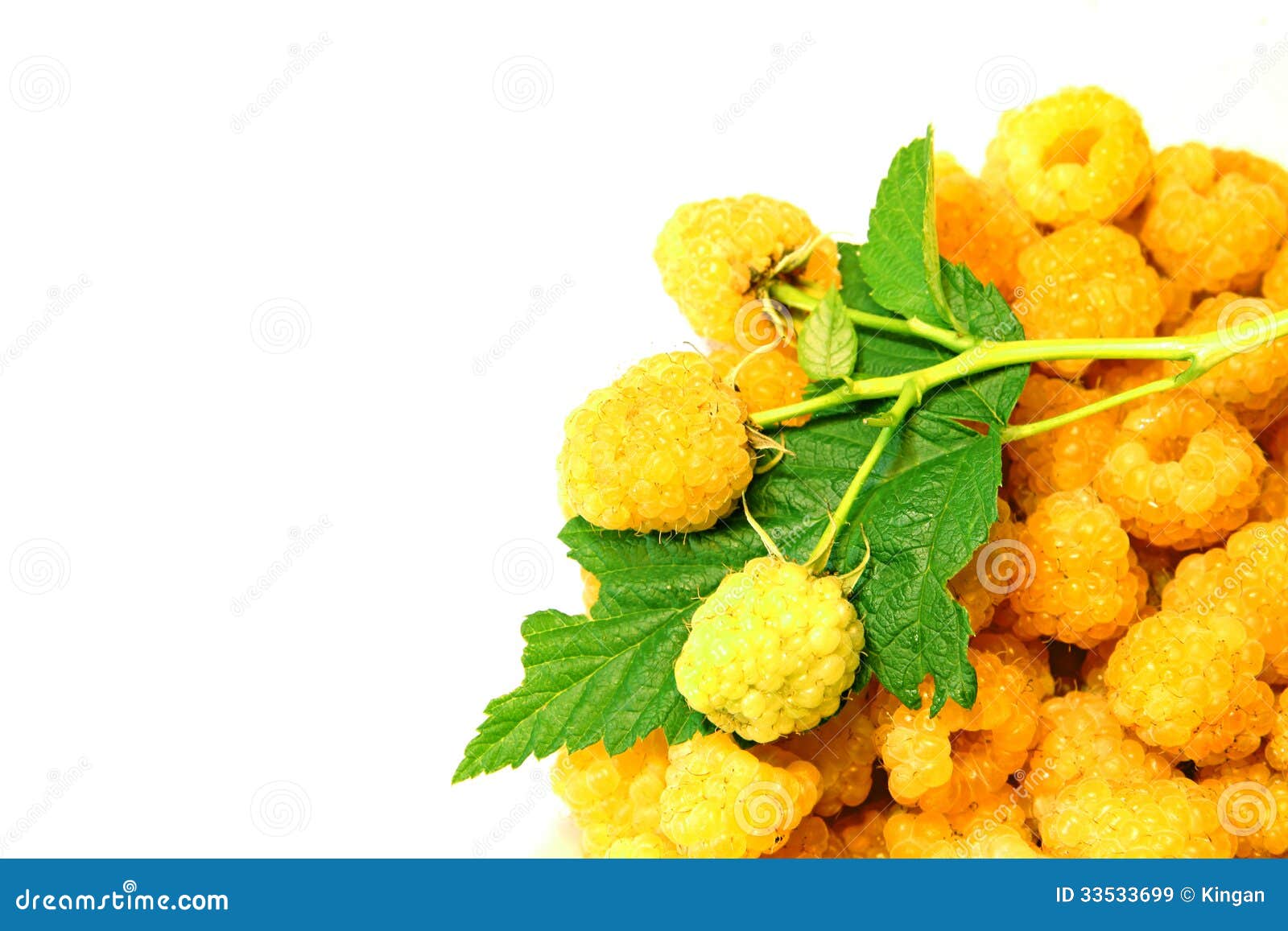Ripe yellow raspberry stock image. Image of closeup, green - 33533699