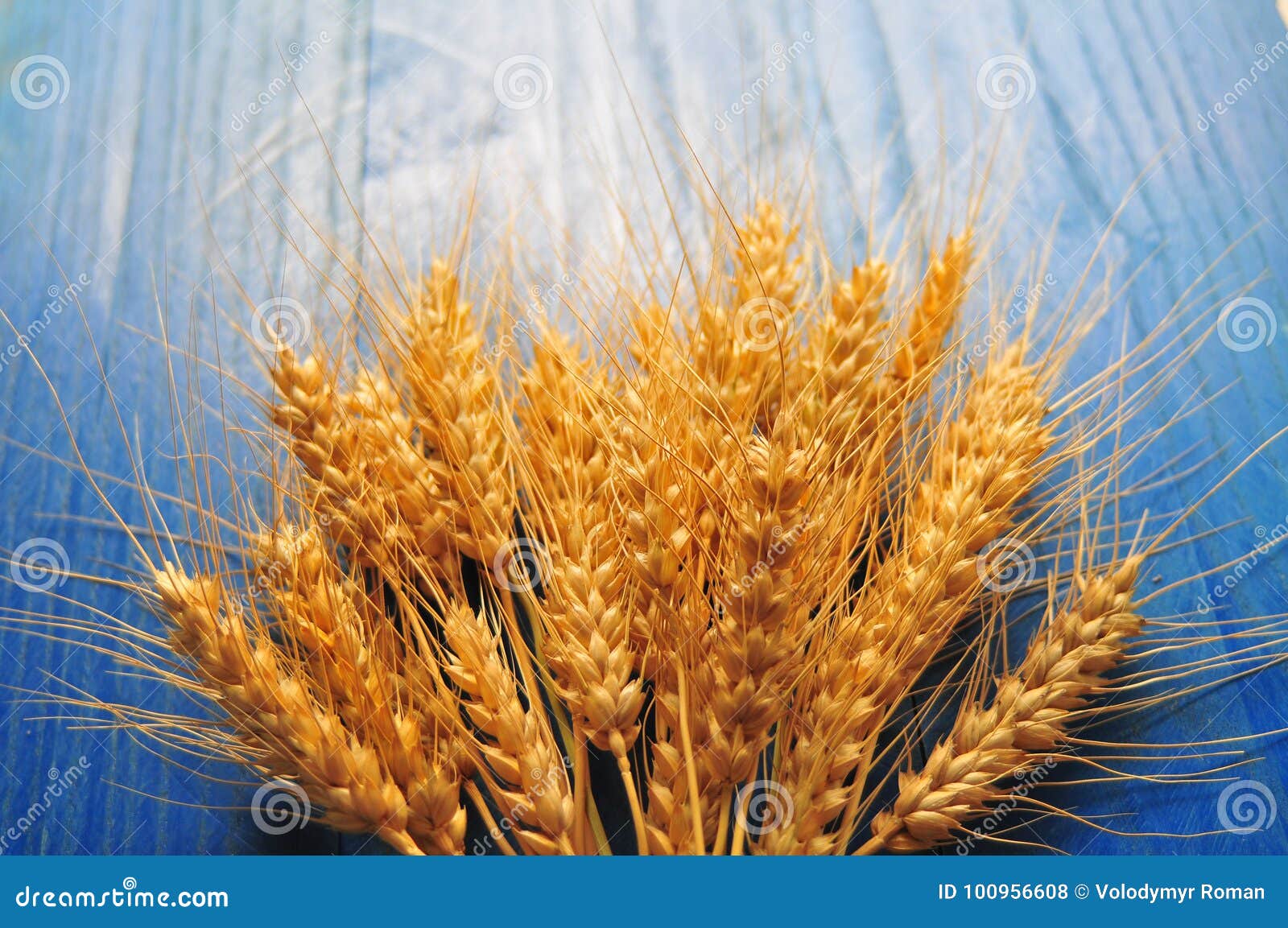 Ripe Wheat Bran on the Table Stock Photo - Image of background, closeup ...