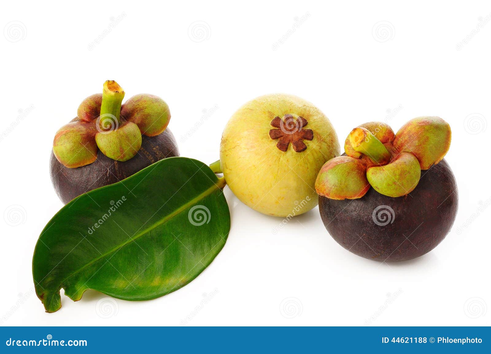 Ripe and Young Mangosteen on White Stock Photo - Image of nature, juicy ...