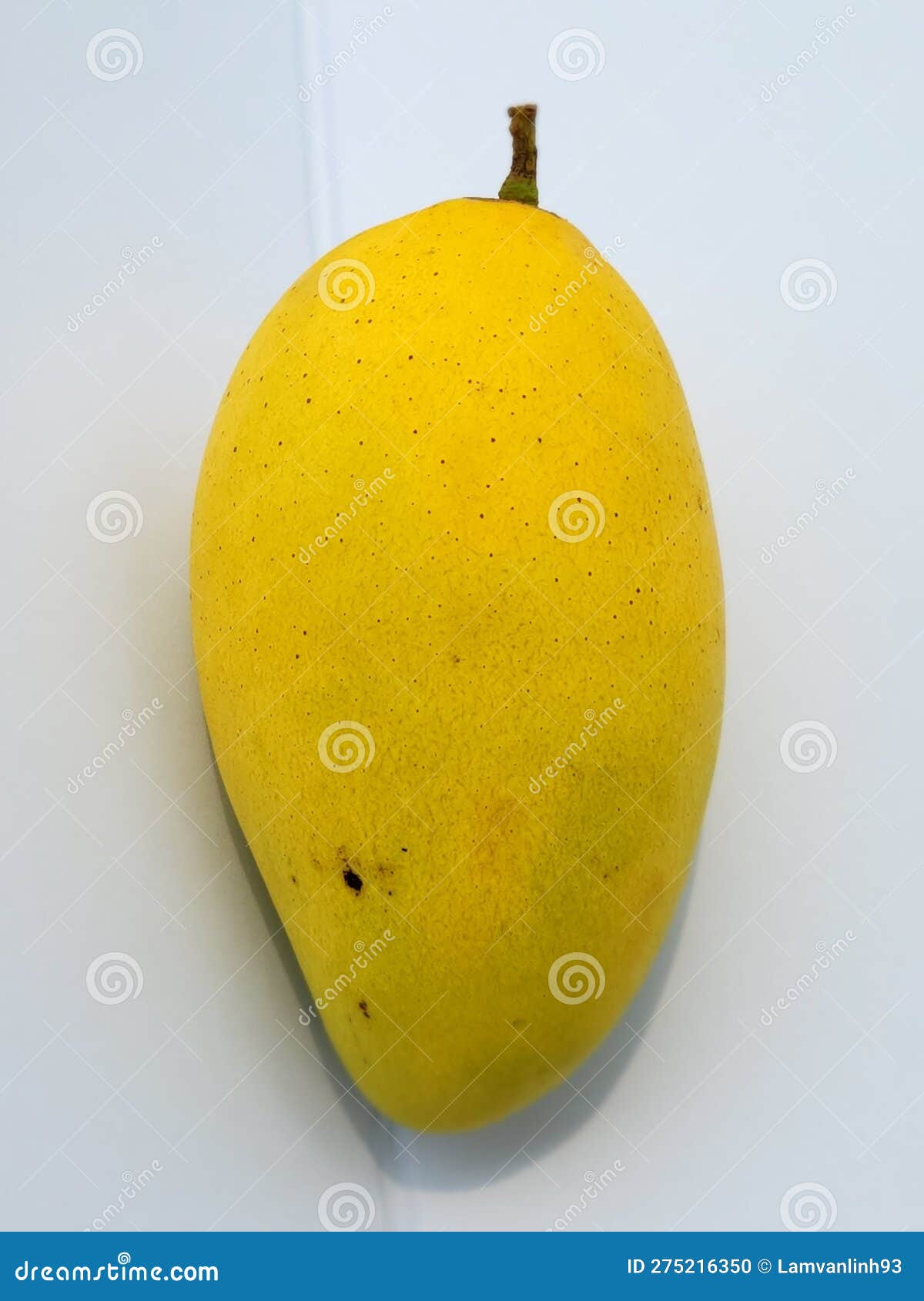 Riped Mango Fruit on White Background. Stock Photo - Image of fresh ...