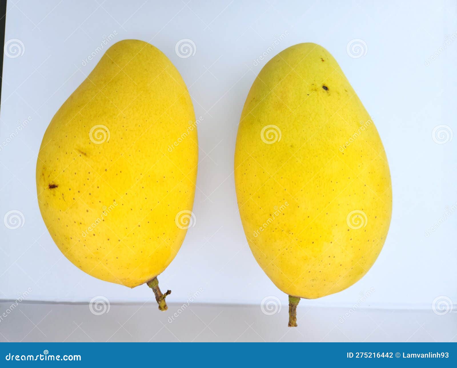 Riped Mango Fruit on White Background. Stock Photo - Image of fruit ...