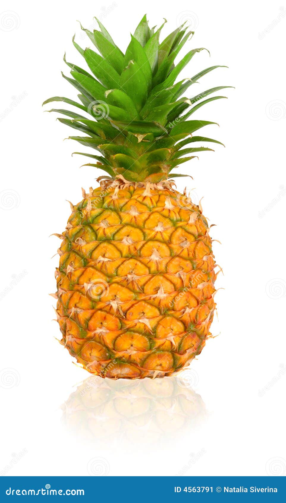 Ripen Pineapple stock image. Image of culture, food, gourmet - 4563791