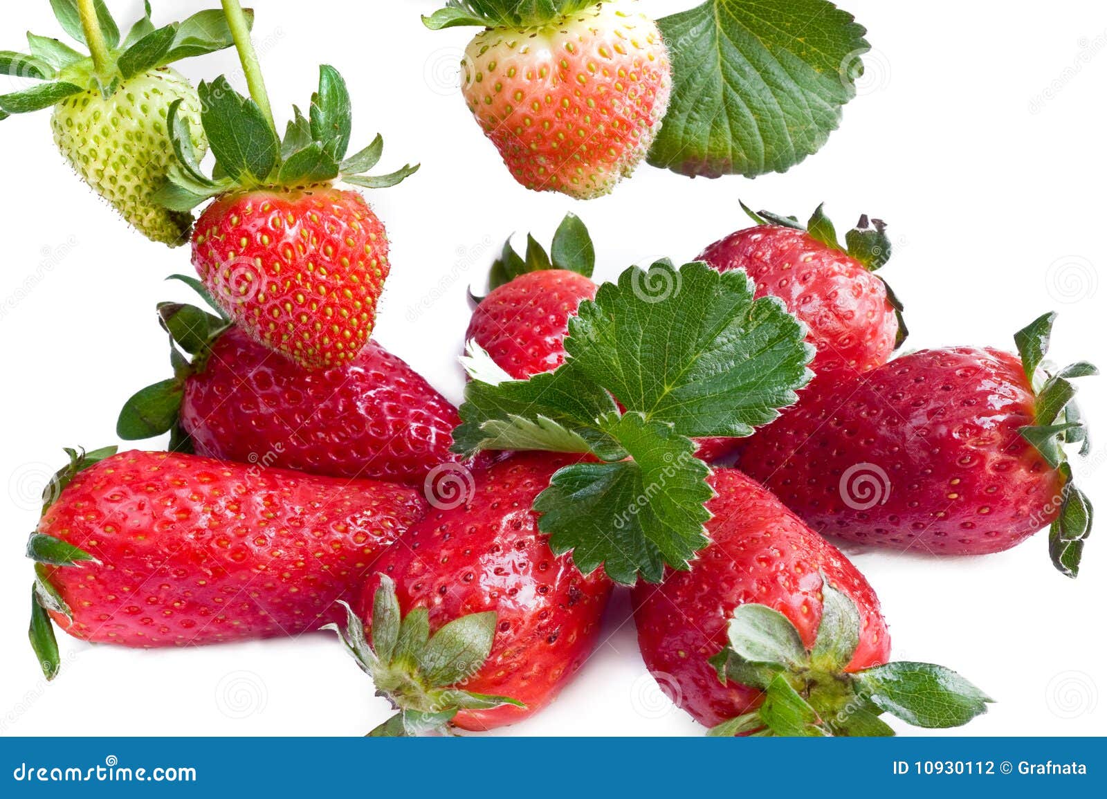 Ripening strawberry stock photo. Image of fruit, strawberry - 10930112
