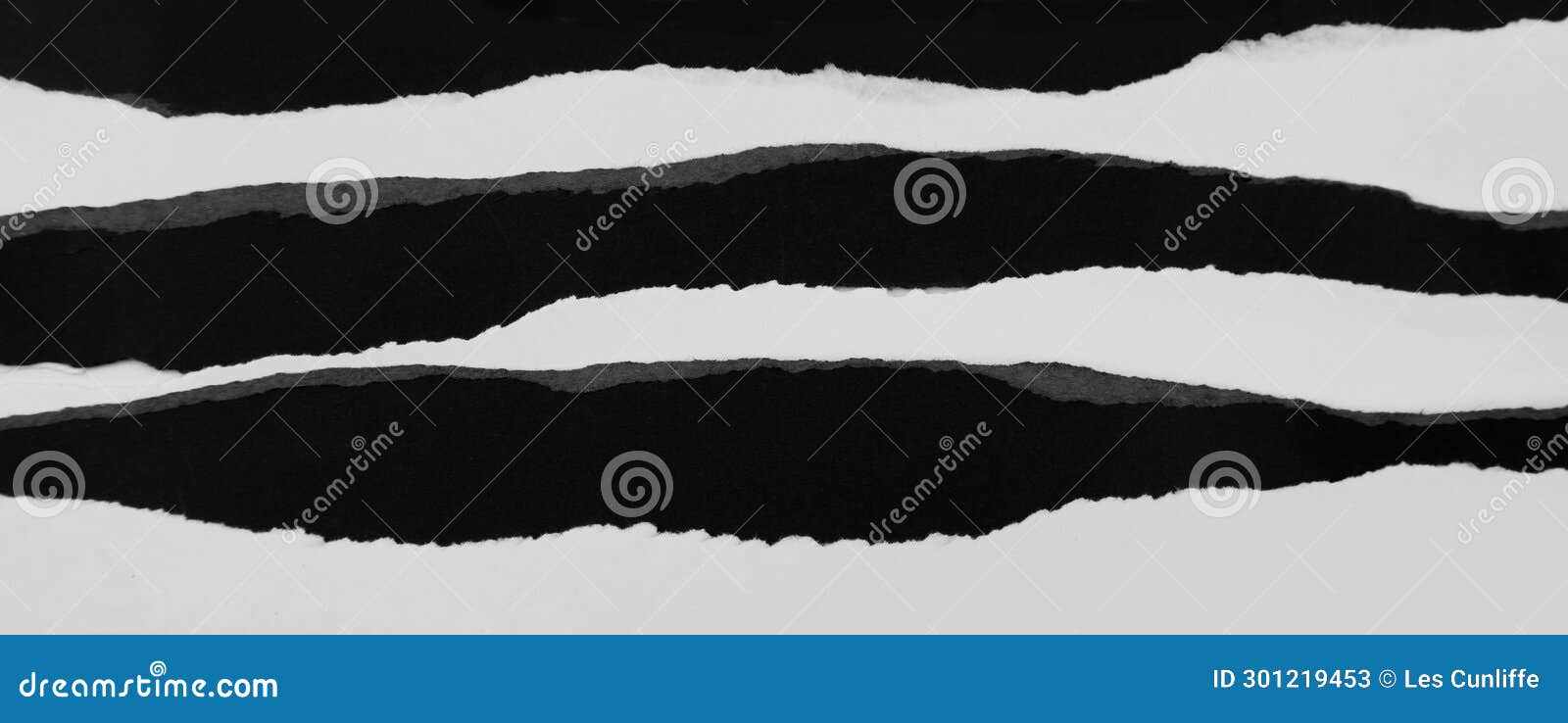 Ripped Black and White Paper Stock Image - Image of ragged, pieces ...