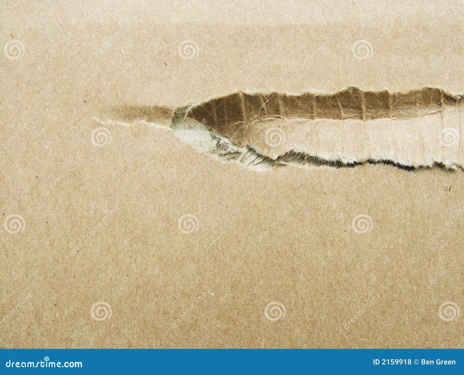 Ripped Cardboard stock photo. Image of card, cardboard - 2159918