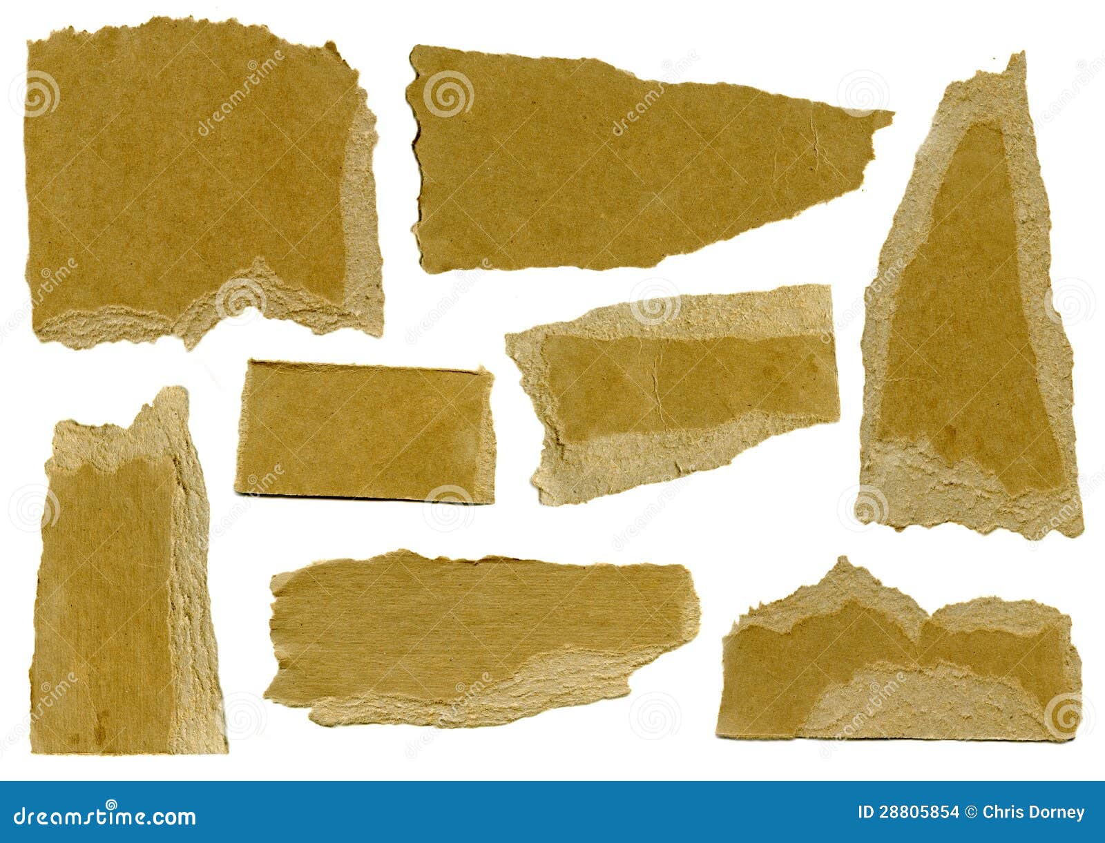 Ripped Cardboard stock photo. Image of card, design, background - 28805854