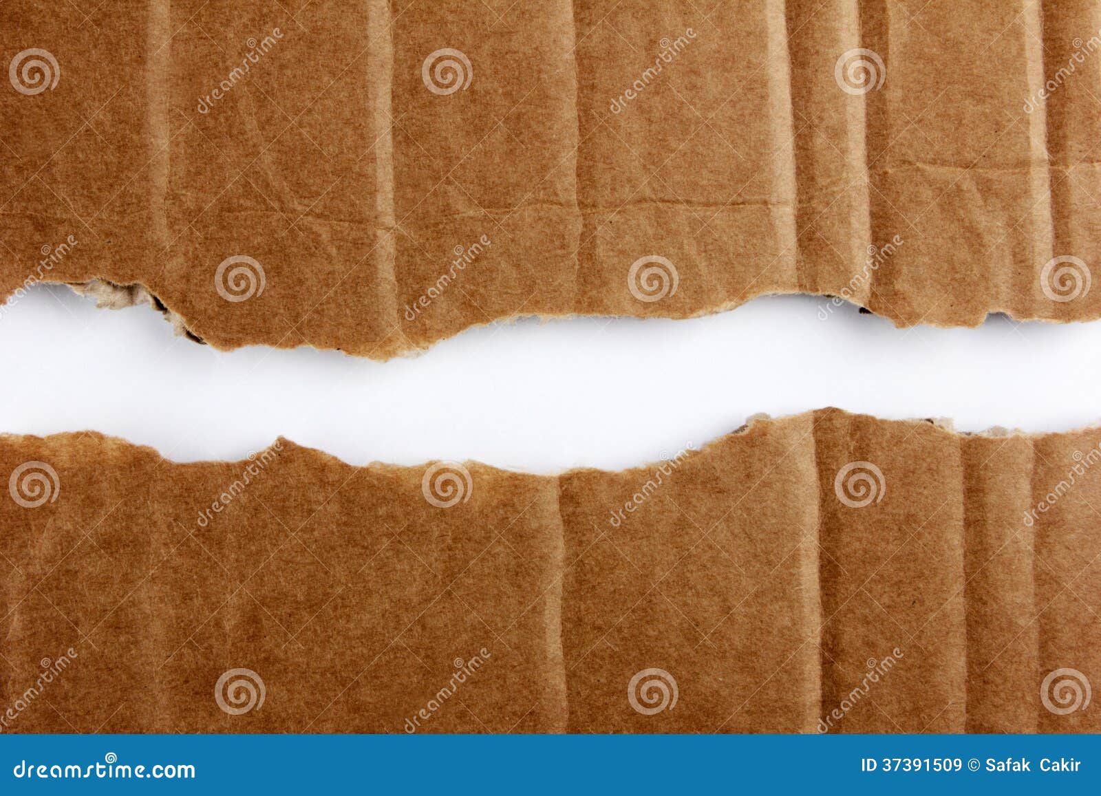 Ripped Cardboard stock image. Image of copy, creativity - 37391509