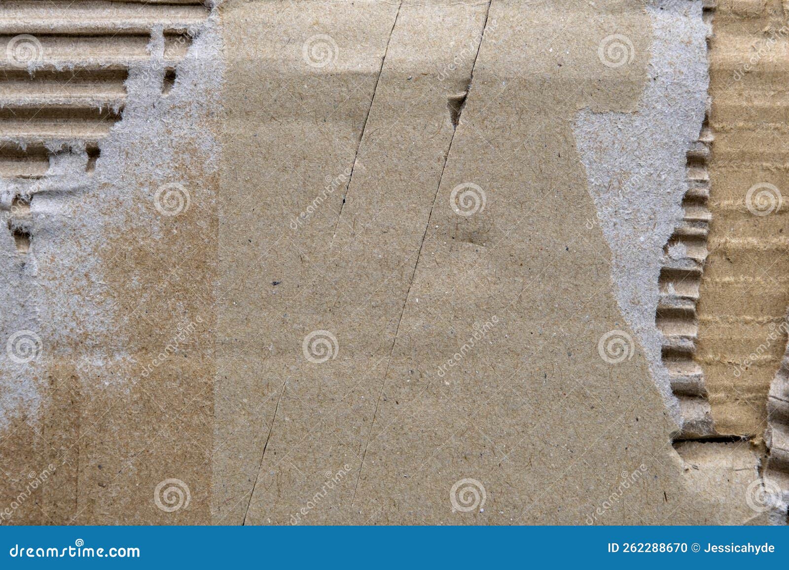 Ripped cardboard texture stock photo. Image of detail - 262288670