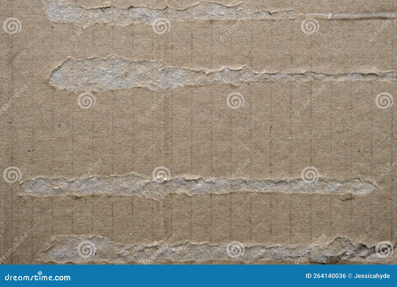 Ripped cardboard texture stock photo. Image of ridged - 264140036