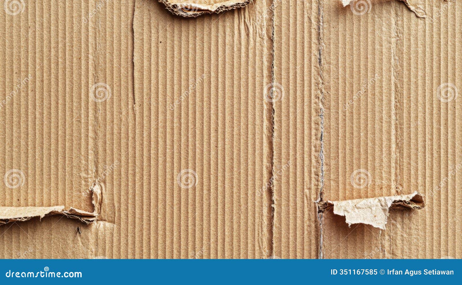 Ripped Cardboard Texture Shows Vertical Lines Stock Illustration ...