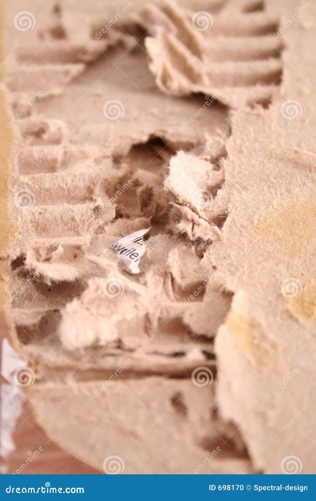 Ripped Carton stock photo. Image of damage, package, parcel - 698170