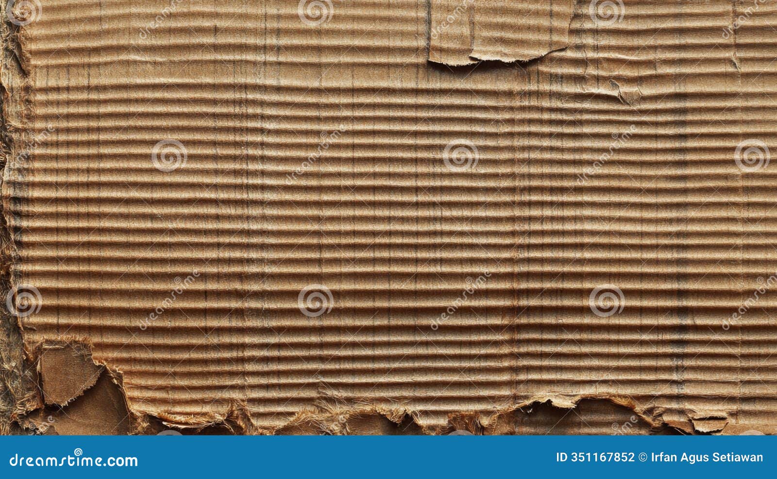Ripped Corrugated Cardboard Texture Background Stock Illustration ...