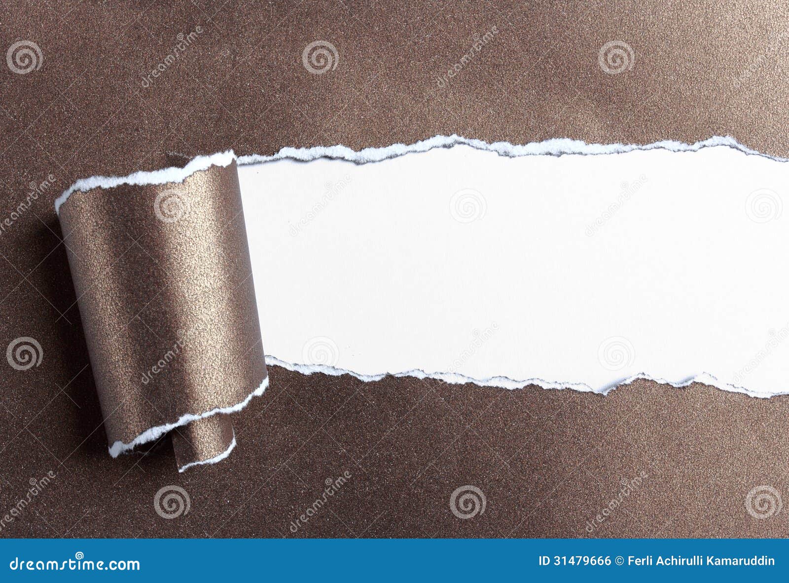 Wet Ripped Dark Paper Texture. Blank Torn Sheet Of Wet White Paper With ...