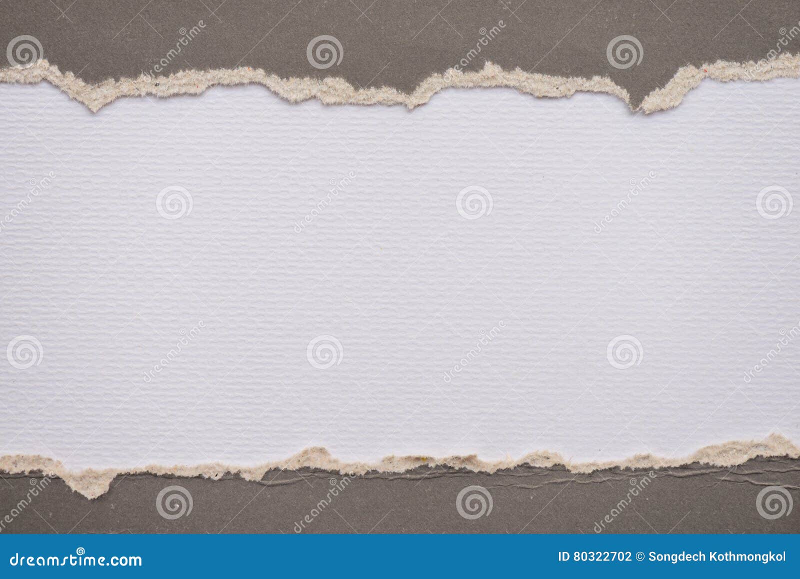 Ripped Gray Paper on White Background Stock Photo - Image of break ...