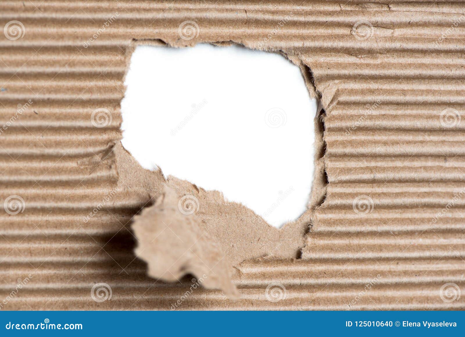 Ripped Hole in Brown Cardboard on White Background Stock Photo - Image ...