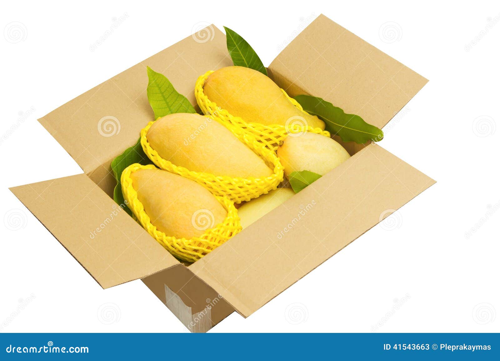 Ripped Mangoes in a Paper Box Ready To Export. Stock Image - Image of ...