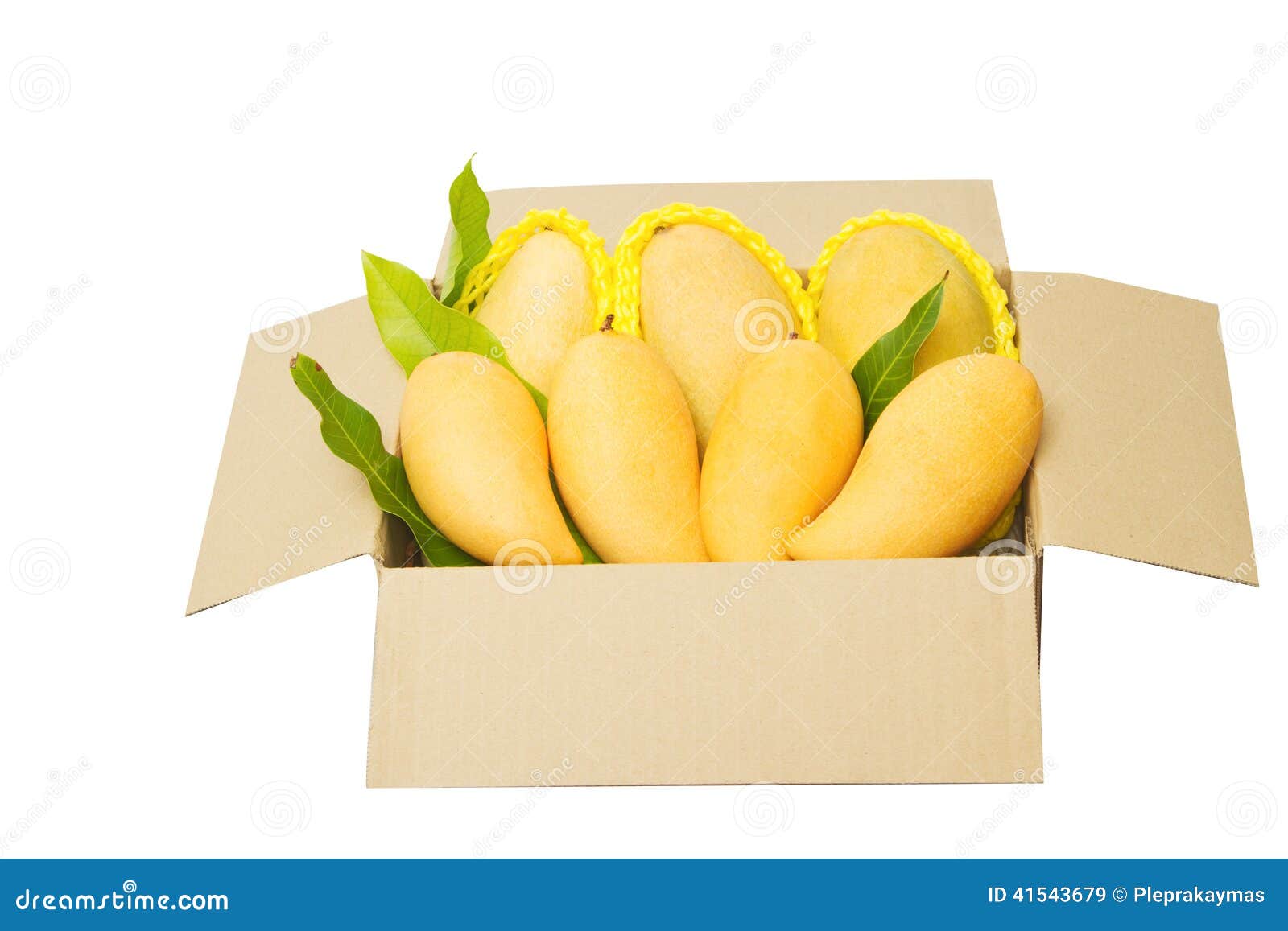 Ripped Mangoes in a Paper Box Ready To Export. Stock Image - Image of ...