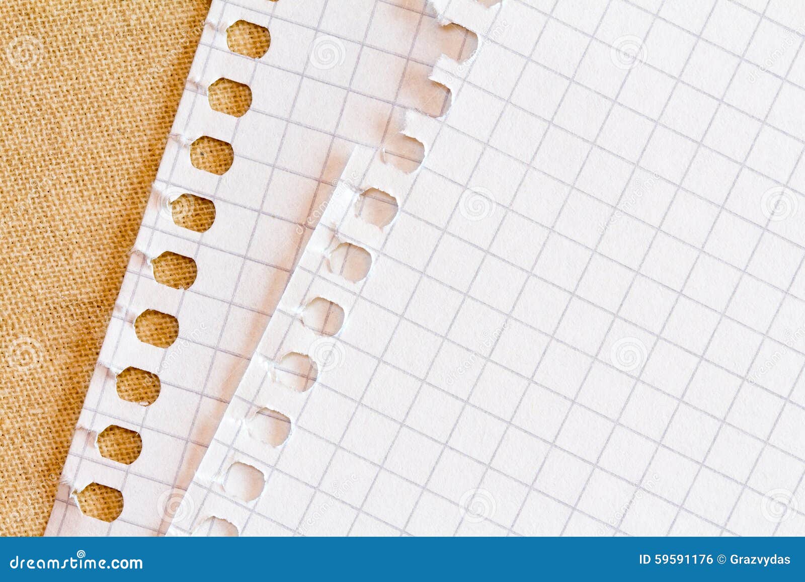 Ripped Notepad Sheet with Rough Edges Stock Photo - Image of note ...