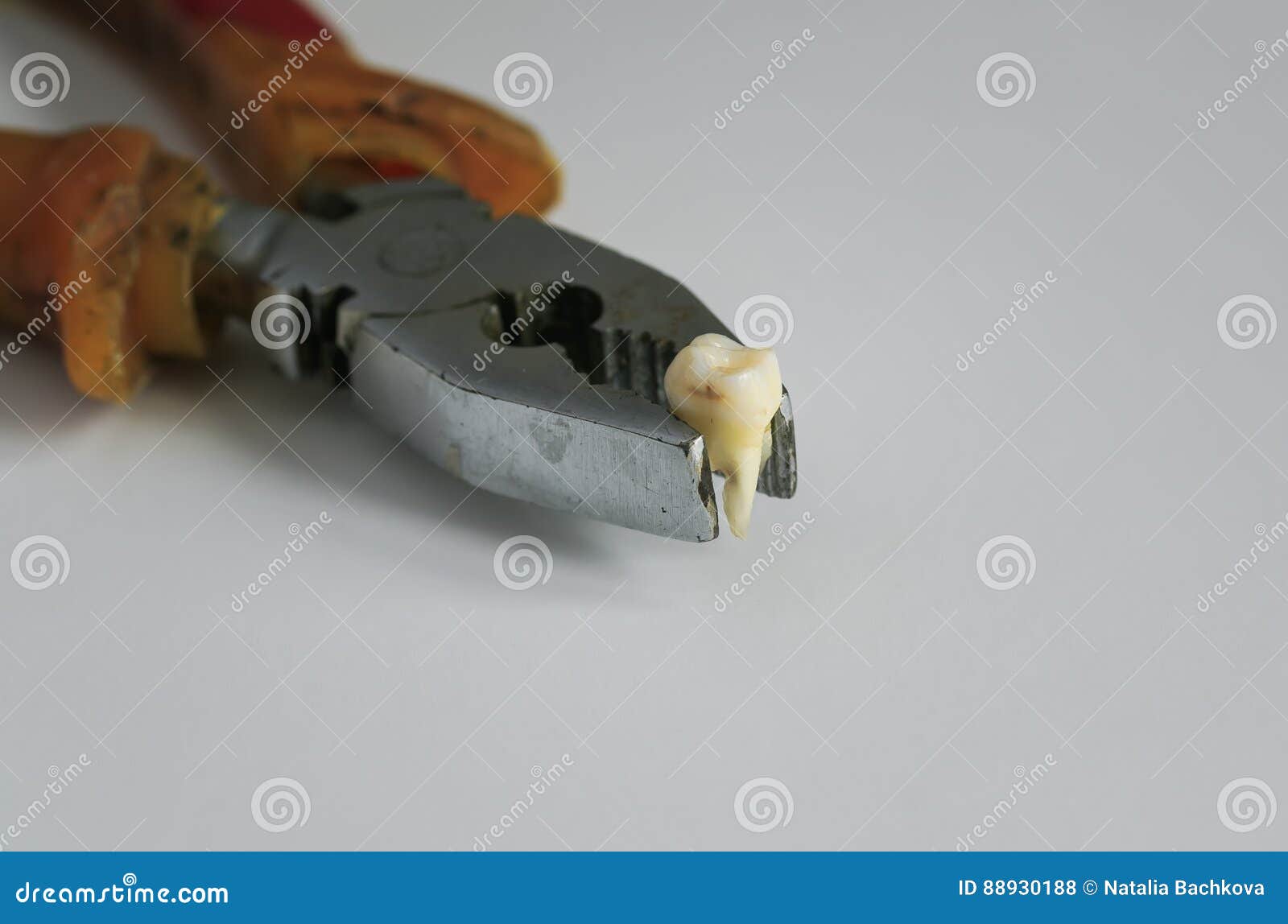 Ripped Out a Rotten Tooth in an Old Rusty Pliers Stock Photo - Image of ...