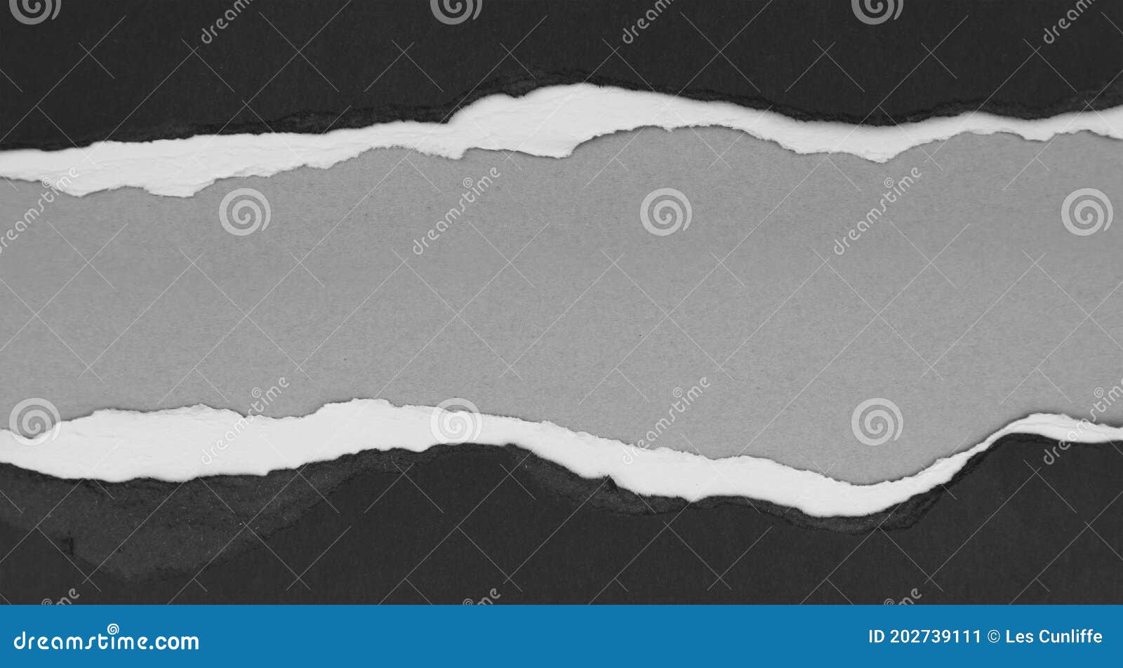 Ripped paper on grey stock image. Image of horizontal - 202739111