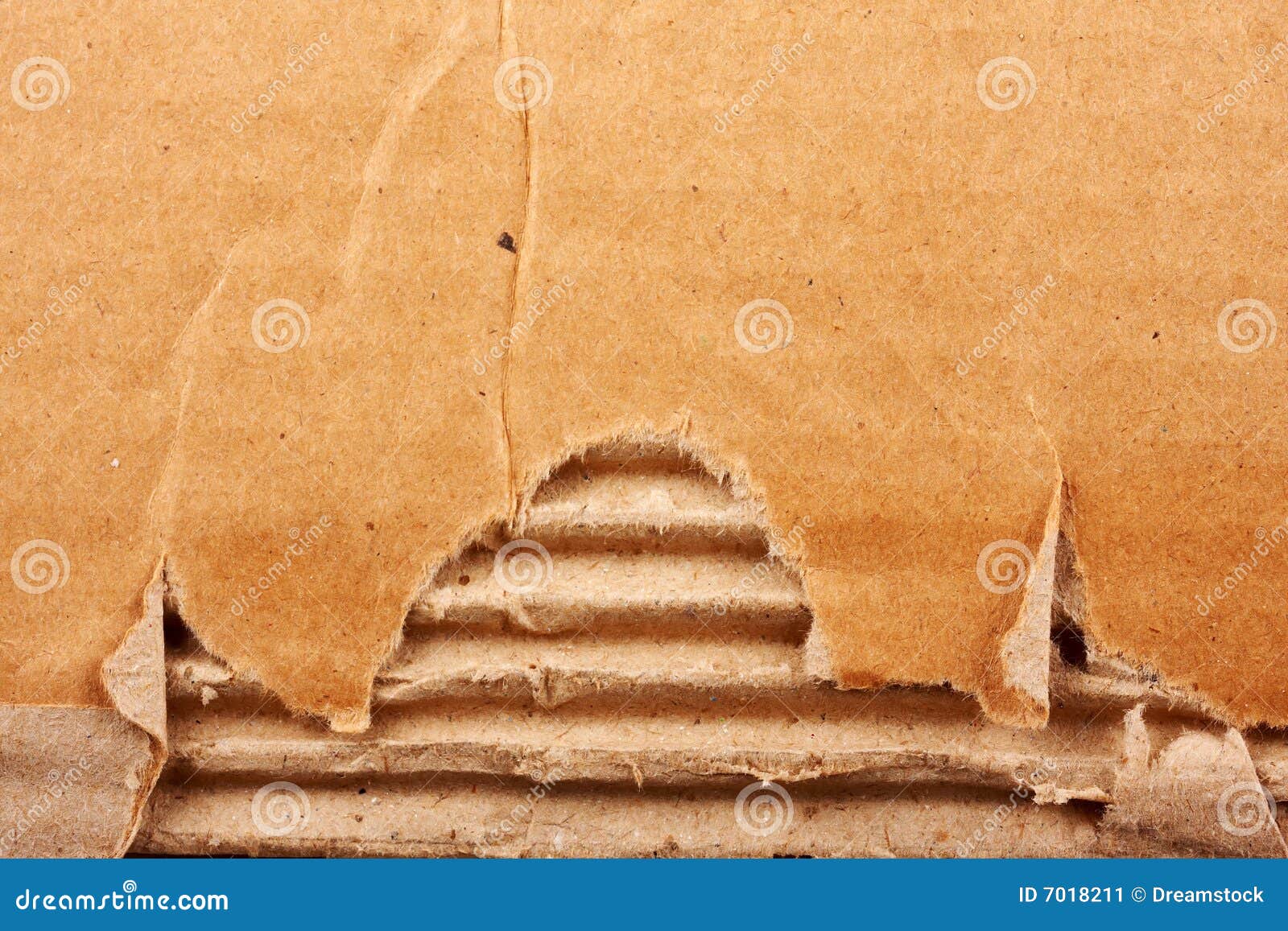 Ripped Piece Of Cardboard Picture. Image: 7018211
