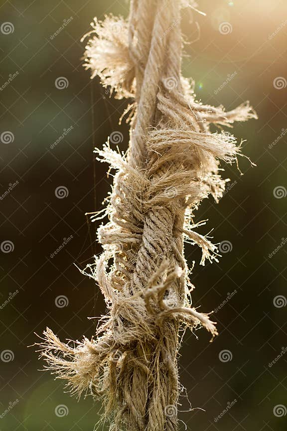 Ripped rope stock image. Image of cord, line, tension - 105979445