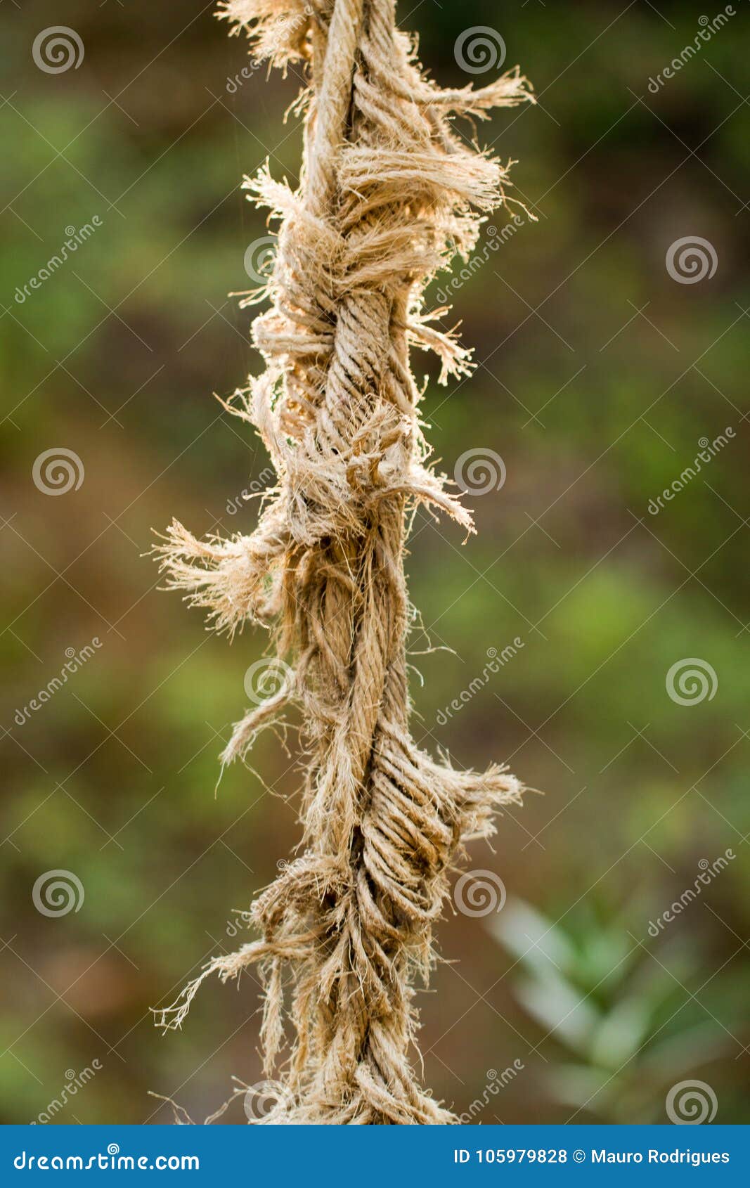 Ripped rope stock photo. Image of macro, line, breakingoff - 105979828