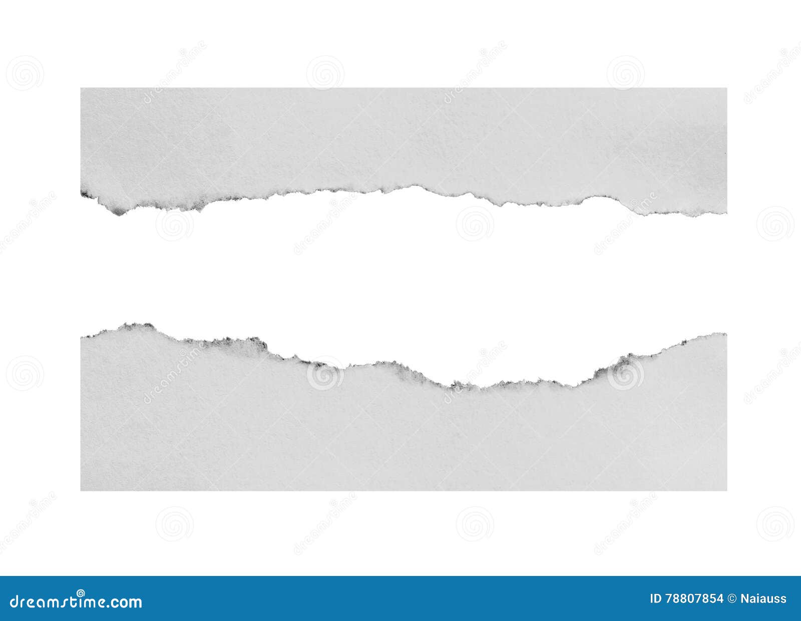 Ripped and Torn paper stock photo. Image of group, collection - 78807854