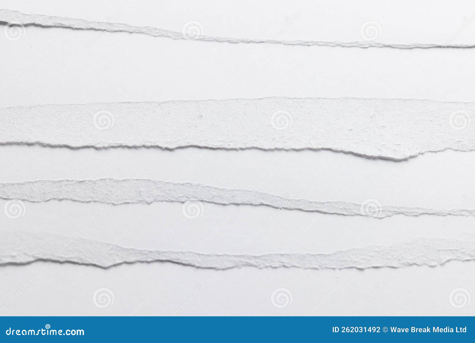 Ripped Up Pieces of White Paper with Copy Space on White Background ...