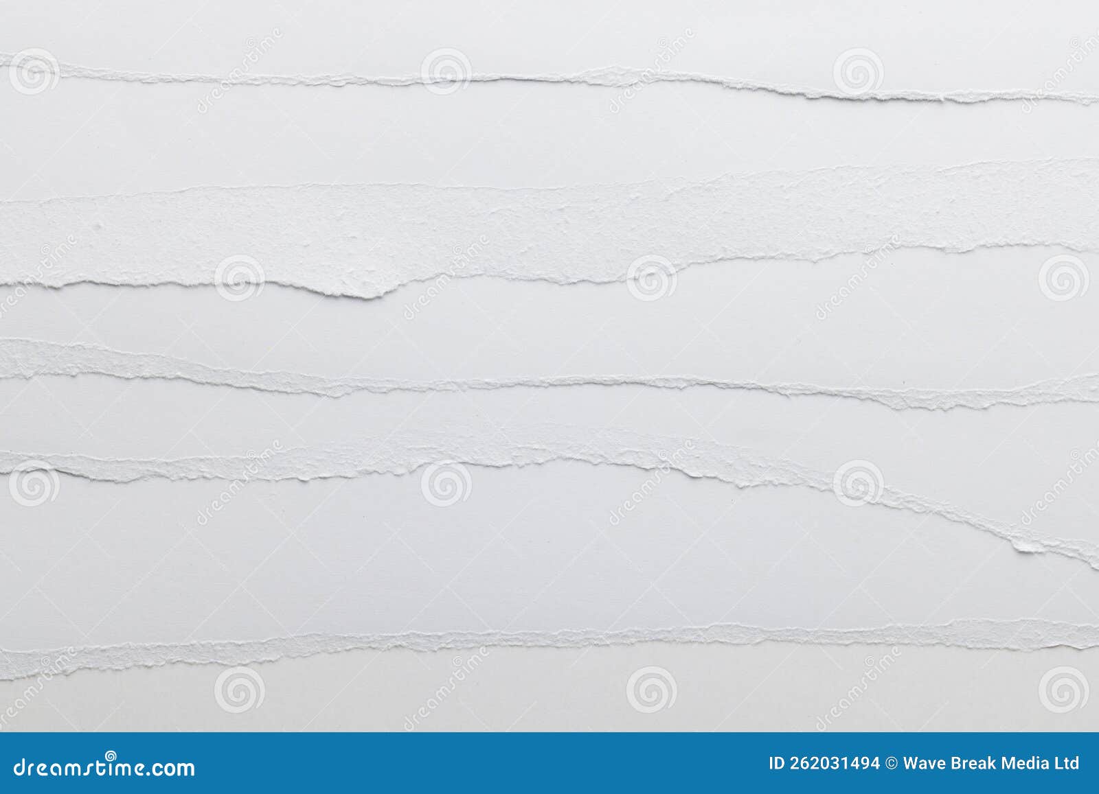 Ripped Up Pieces of White Paper with Copy Space on White Background ...