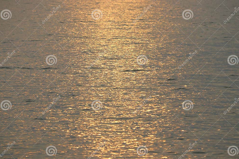 Ripped water in river stock photo. Image of liquid, water - 289300694