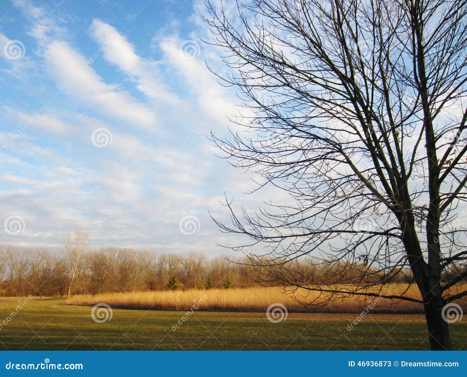 Ripple Clouds stock image. Image of rippled, clouds, skies - 46936873