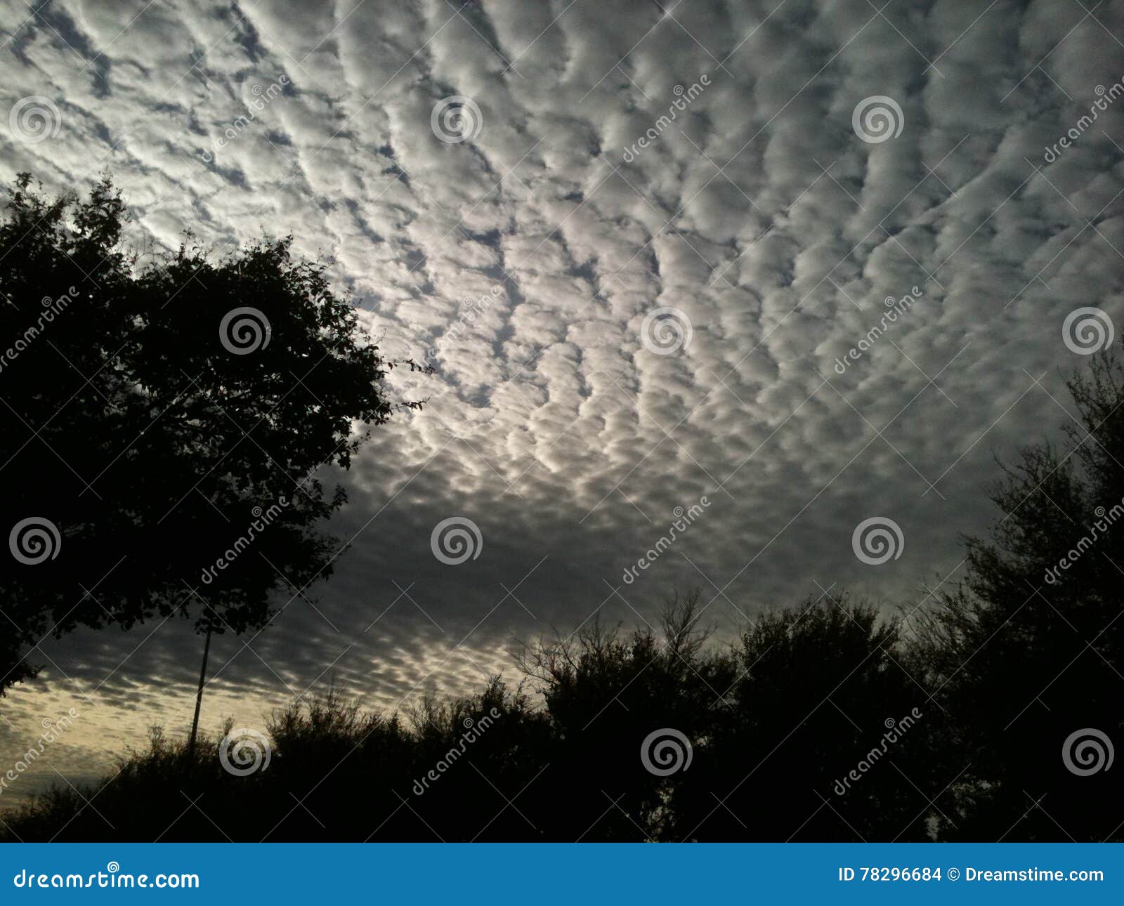 Ripple Clouds stock photo. Image of trees, billowy, sunset - 78296684