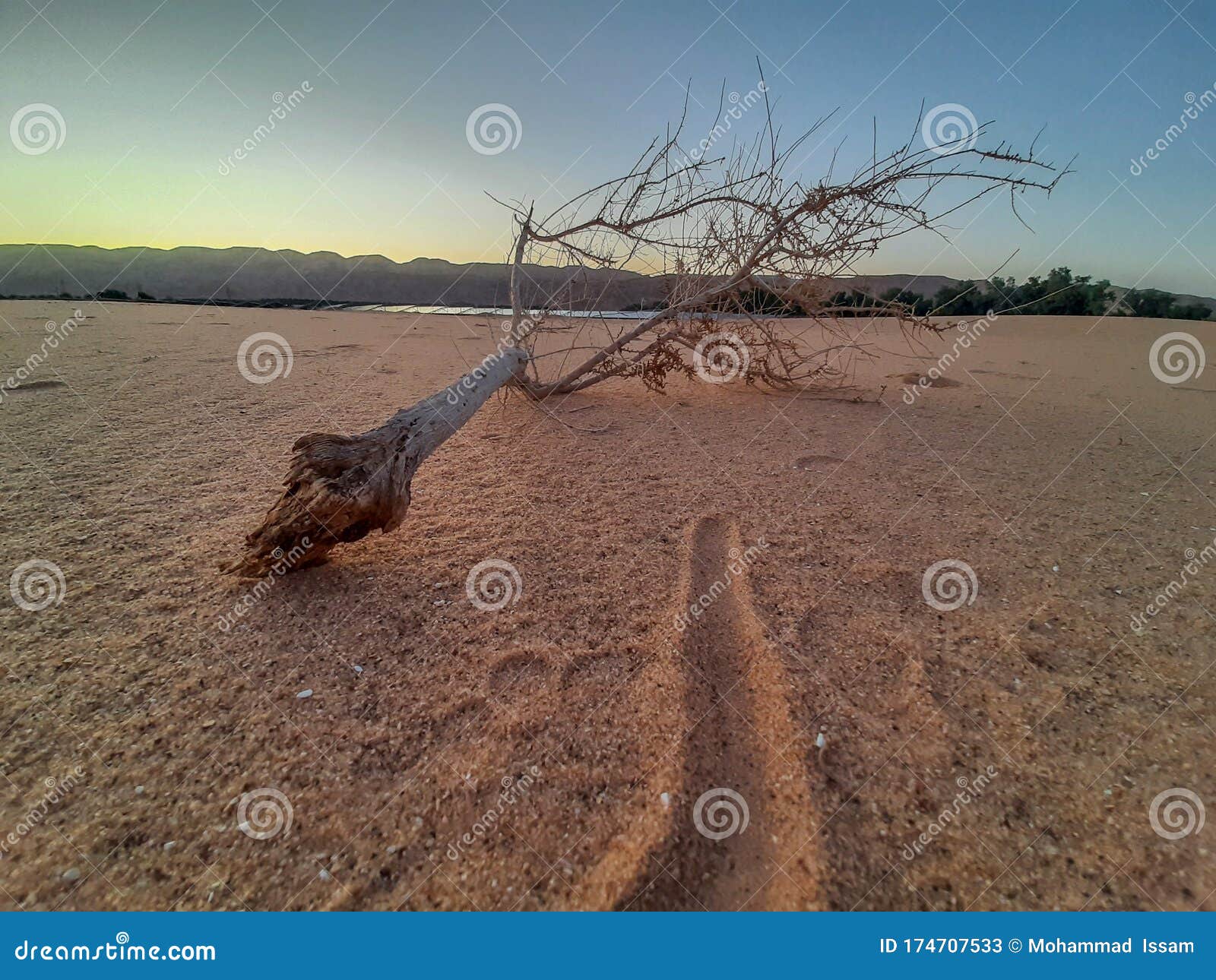 Ripple marks in desert stock image. Image of beach, water - 174707533