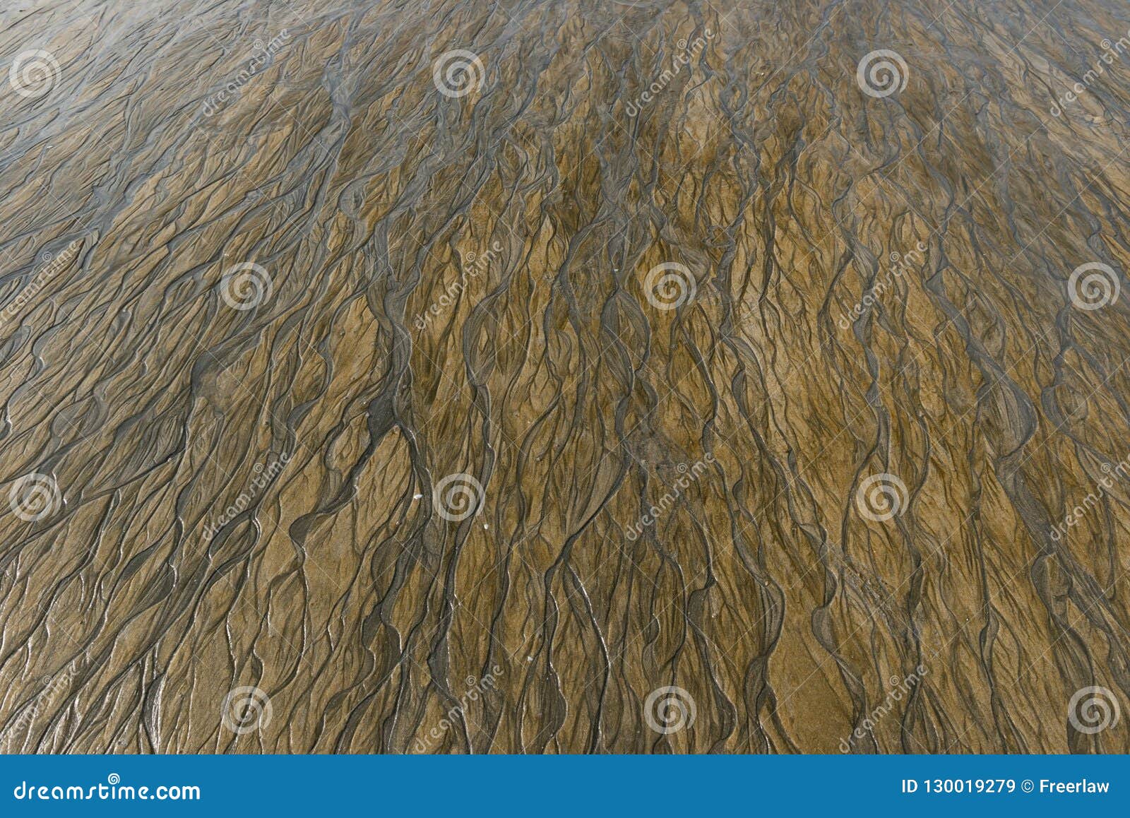 Ripple marks on sand beach stock image. Image of beach - 130019279