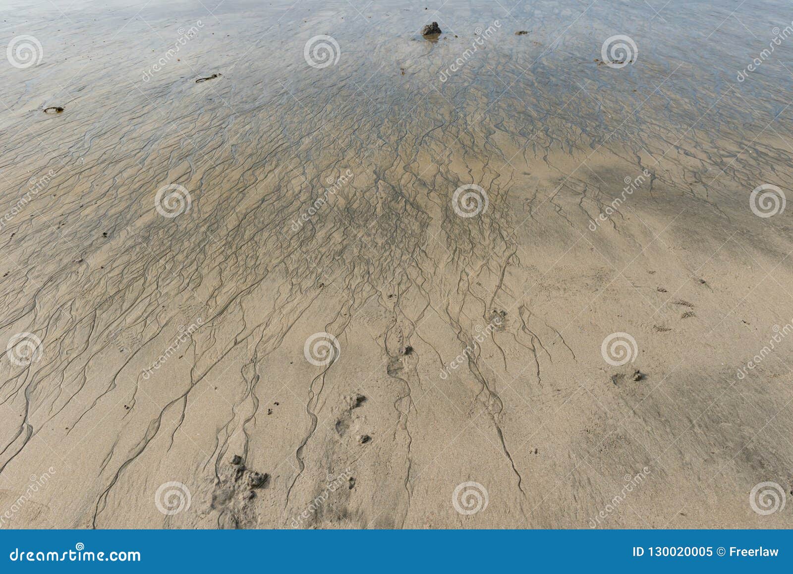 Ripple Marks Are Sedimentary Structures And Indicate Agitation By Water ...
