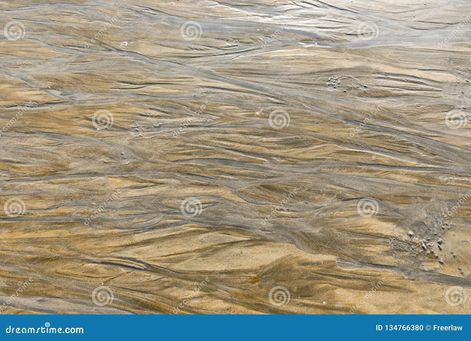 Ripple marks on sand beach stock photo. Image of sand - 134766380