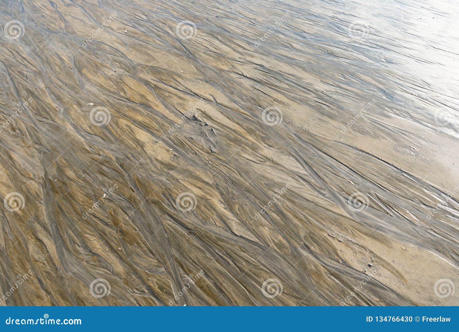 Ripple marks on sand beach stock photo. Image of seashore - 134766430