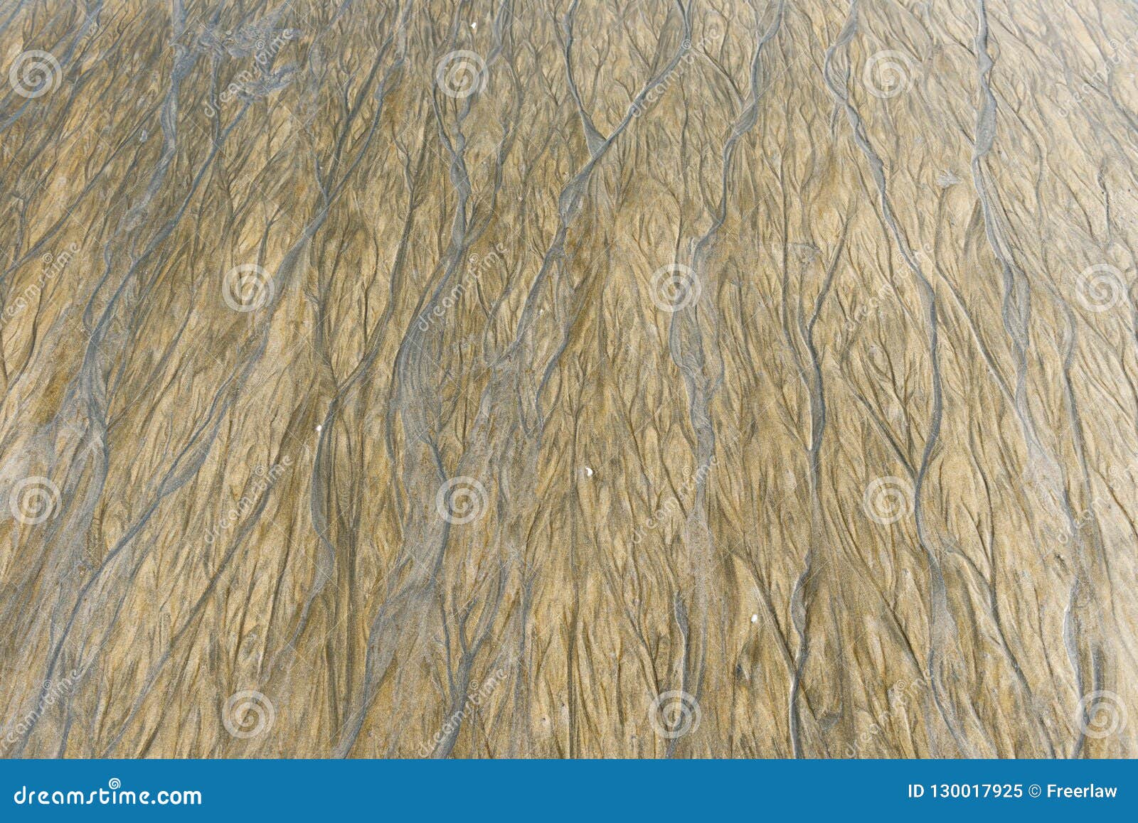 Ripple marks on sand beach stock image. Image of shoreline - 130017925